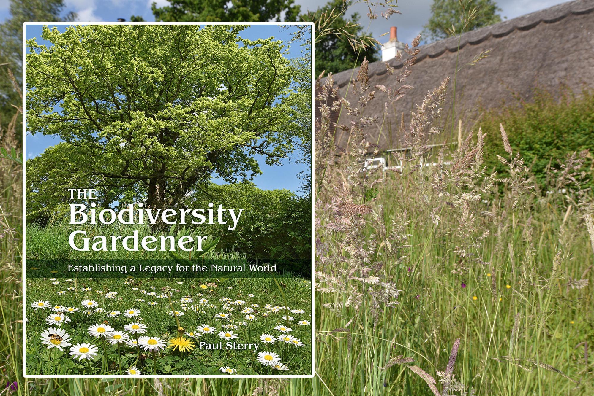 A glimmer of hope: my garden, which features in the book THE ...